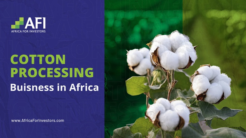 Cotton Processing Opportunities in Africa | AFI Knowledge Video