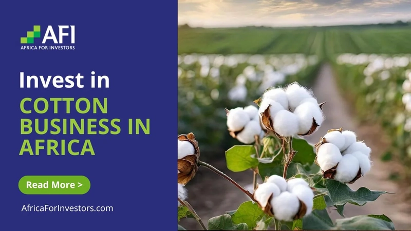 Invest in Cotton Business in Africa | FDI Benefits