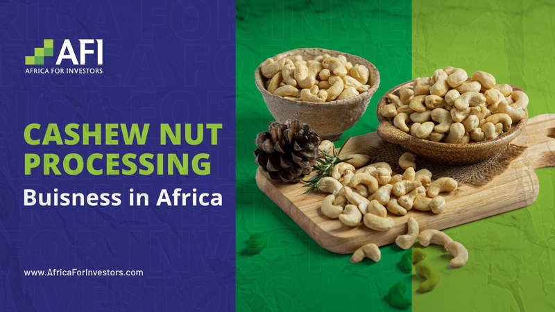 Invest in Cashew Processing | FDI Opportunities | Africa